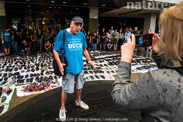 Stock photo of Aged 76 years, veteran anti-duck hunting protester and ...