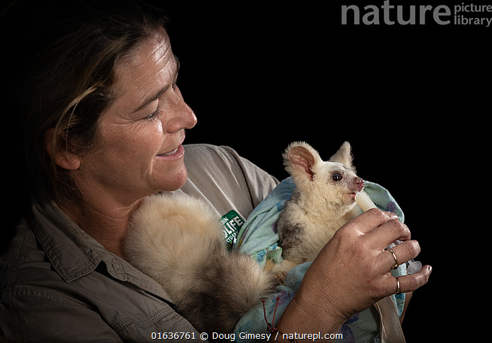 Stock photo of Alice Roser, worker at Currumbin Wildlife Sanctuary ...