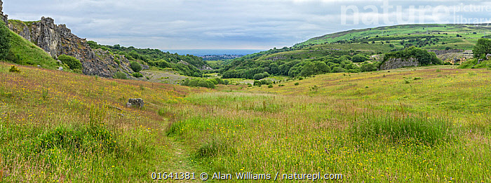 Stock photo of Minera Limestone Quarry, North Wales Wildlife Trust ...