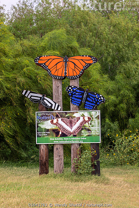 Stock photo of Information sign with painted butterflies at National ...