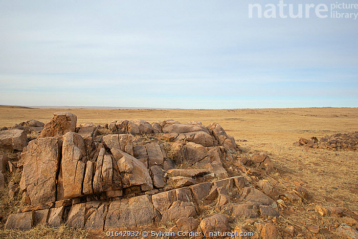 Stock photo of Rock outcrops within steppe. East Mongolia, Mongolia ...
