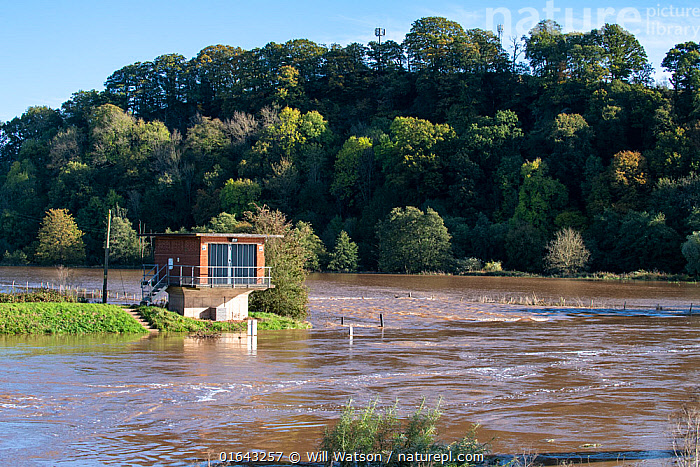 Stock photo of Flooding on the River Teme and the gauging station at ...