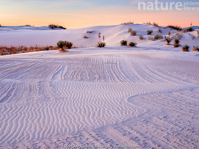 Stock photo of Striated texture in white gypsum sand dunes, created by ...