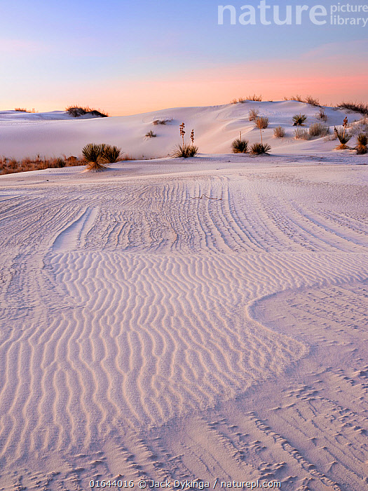 Sand Texture 790 White Sand Texture Stock Photos, High Res Pictures,