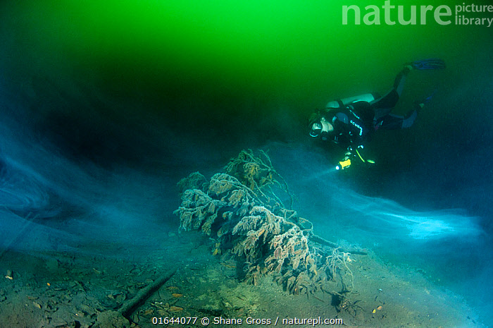 Stock photo of Scuba diver nears a halocline (caused by a strong ...