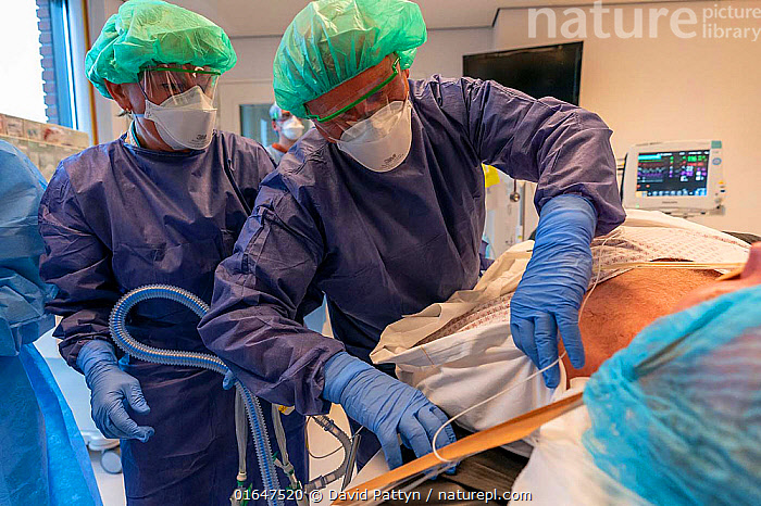 Stock photo of ICU team working together with a MICU team (consisting ...