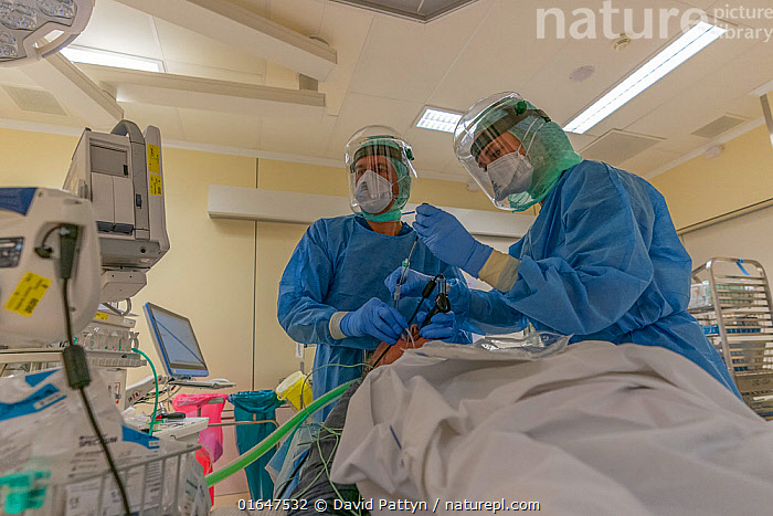 Stock photo of Anesthesiologist and anesthesia nurse during an ...