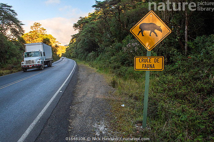 Stock photo of Wildlife road warning sign featuring a tapir along the ...