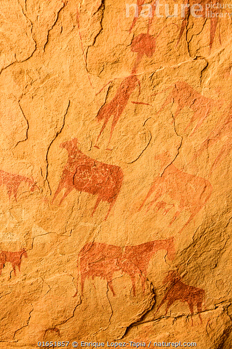 Stock photo of Ancient cave paintings in the Sahara Desert showing ...