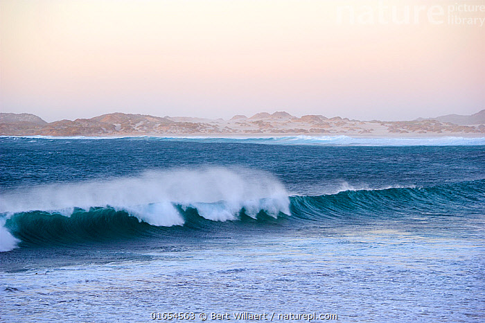 Wave And Land
