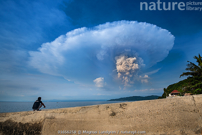 Stock photo of The eruption of Taal Volcano viewed from Anilao in ...