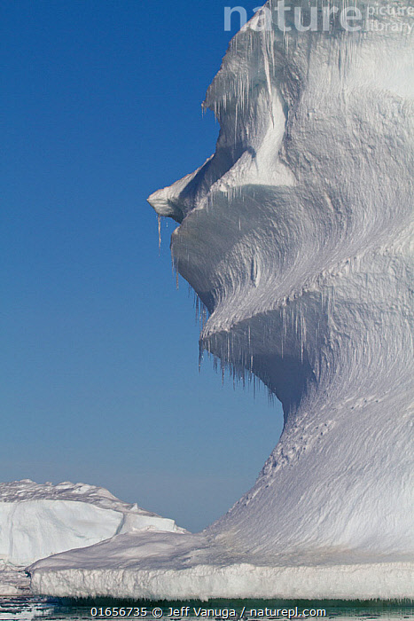 Stock photo of Iceberg formation resembling a frosted human face ...
