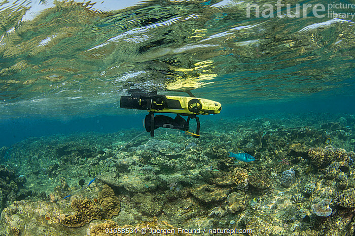 Stock photo of LavalBot, a semi-autonomous robot designed by Queensland ...