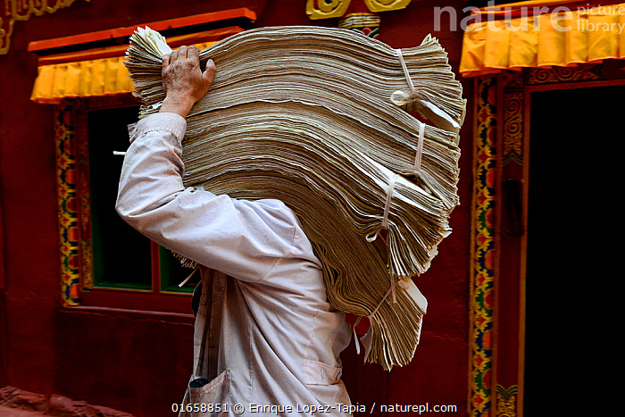 Stock photo of Person carrying printed material at Gonchen Gompa ...