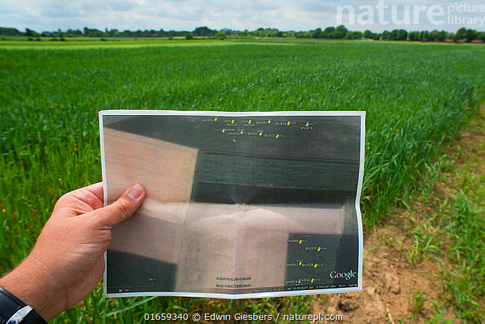 Stock photo of Area map marked with the location of European hamster ...