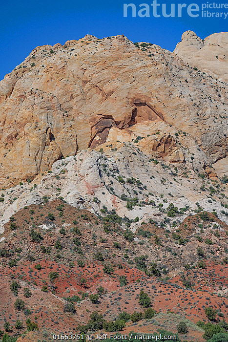 Stock photo of Waterpocket Fold, Navajo sandstone monocline. Capitol ...