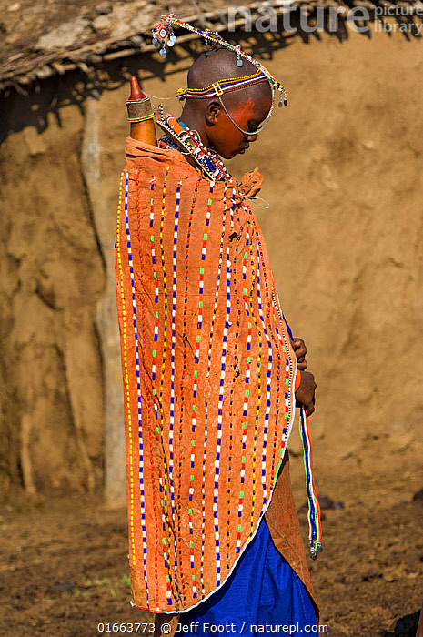 Stock photo of Maasai bride dressed for wedding ceremony. Maasai Mara ...