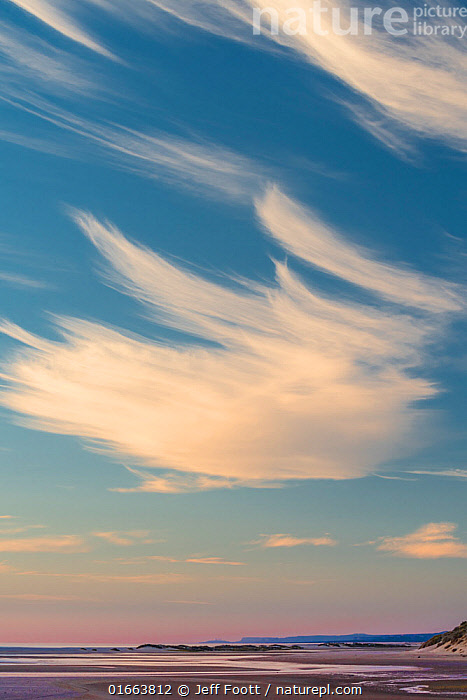 Cirrus Clouds Sunset