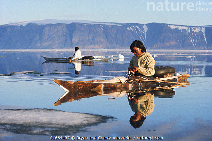 Stock photo of Inuit hunter, Qitdlaq Duneq, in his skin kajak amongst ...