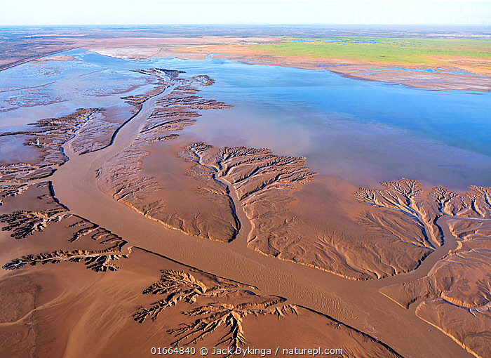 Stock photo of Aerial view of patterns in tidal mudflats of Colorado ...