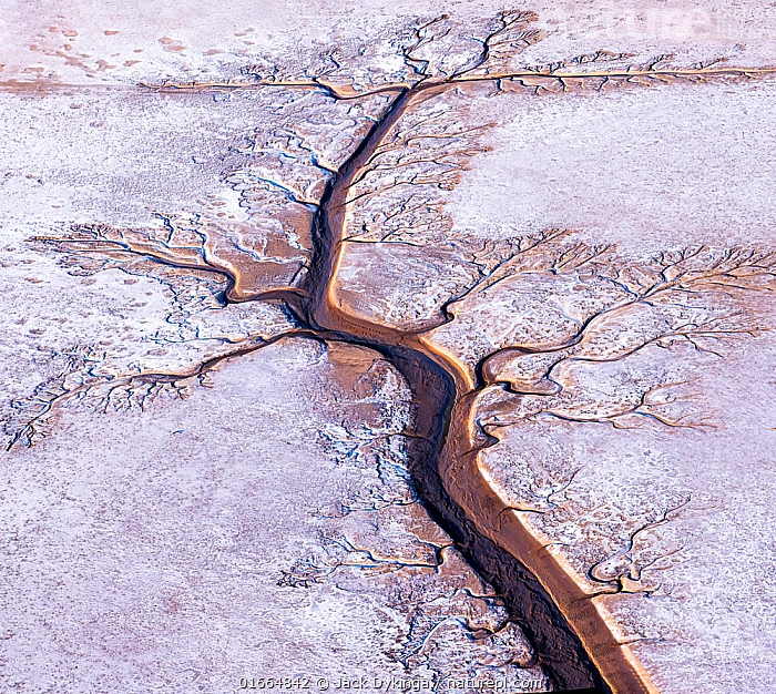 Stock photo of Aerial view of patterns in tidal mudflats of Colorado ...