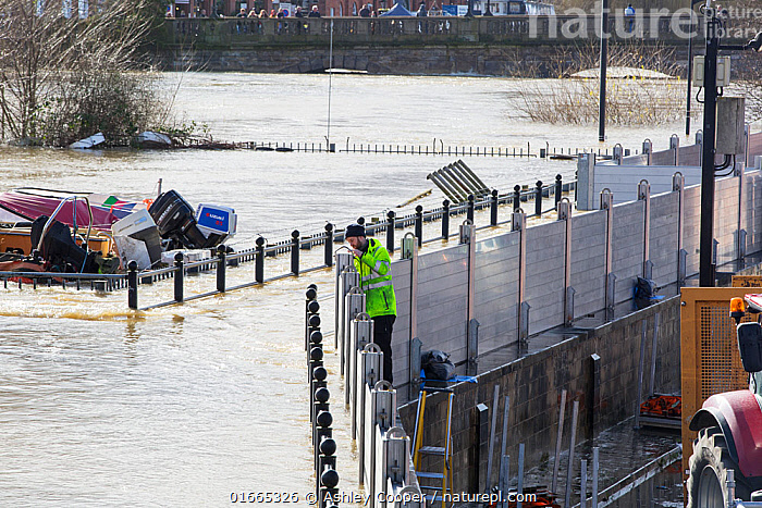 Stock photo of Environment Agency worker checking River Severn flood ...