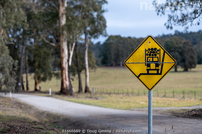 Stock photo of Logging truck warning sign beside road, Bendoc, East ...