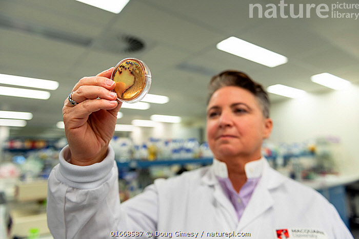 Stock photo of Associate Professor Michelle Power from Macquarie ...
