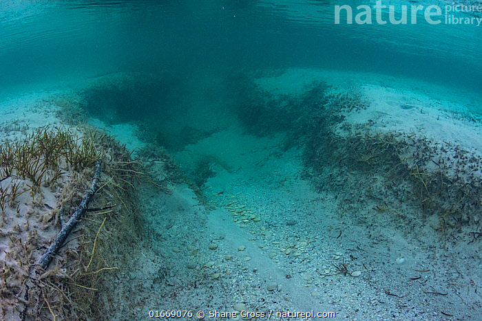 Stock photo of Propeller scar on sea floor, damage to the root ...