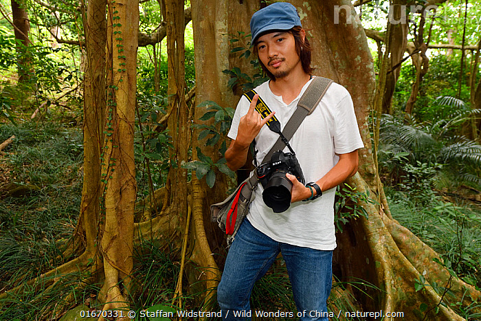 Stock photo of Photographer David Lin, in front of Bayan fig tree ...