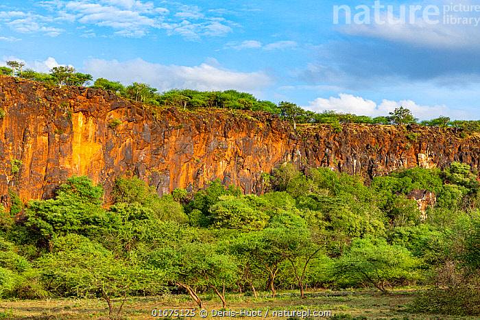Stock photo of Rift Valley around Lake Baringo, North Kenya. February ...