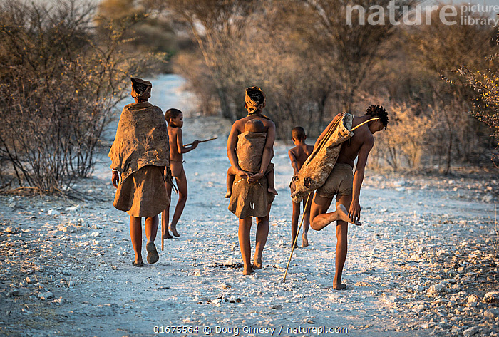 Stock photo of Three generations of San people, also known as a ...