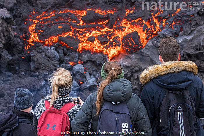 Stock photo of Icelandic people watching and photographing lava at the ...