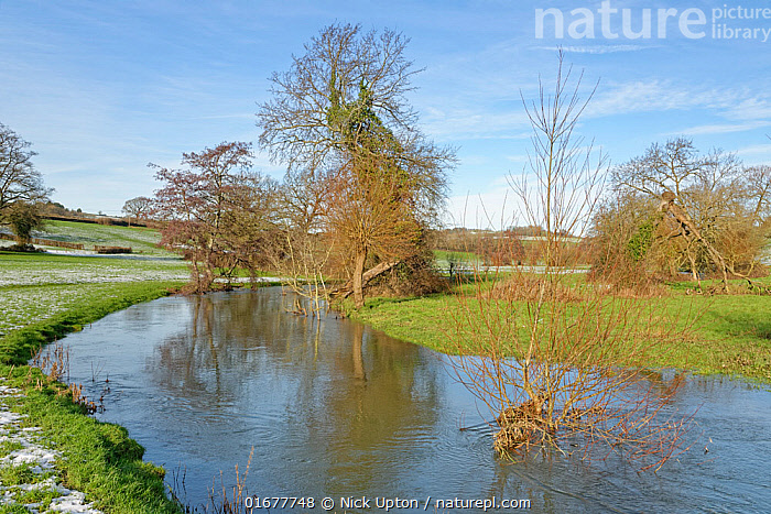 Stock photo of Bybrook River flowing through snow-dusted pastureland ...