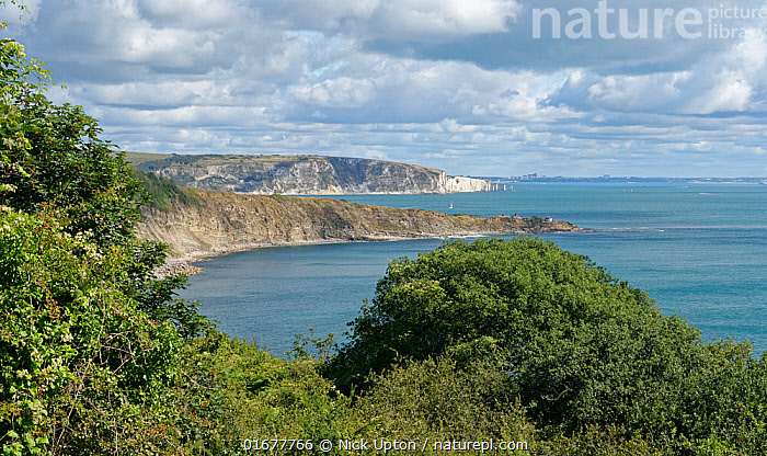 Stock photo of Overview of Durlston Bay and Peverill Point from ...