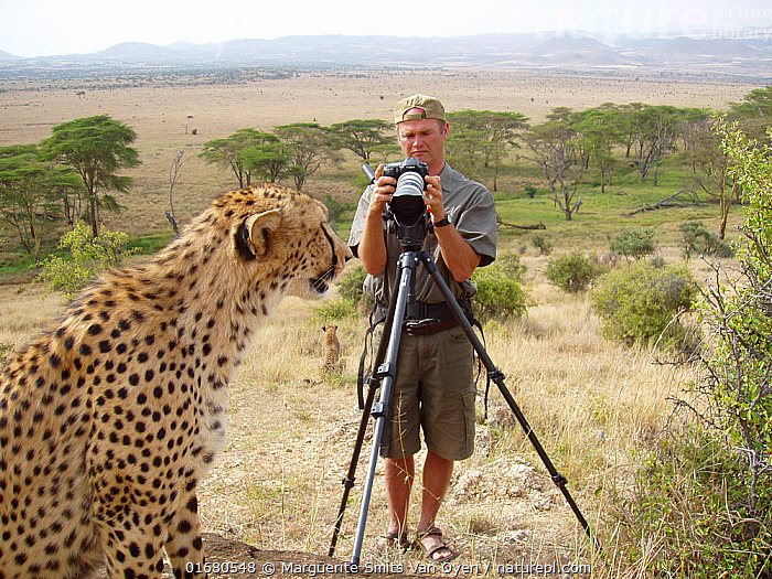 Stock photo of Wildlife presenter, photographer and filmmaker Simon ...