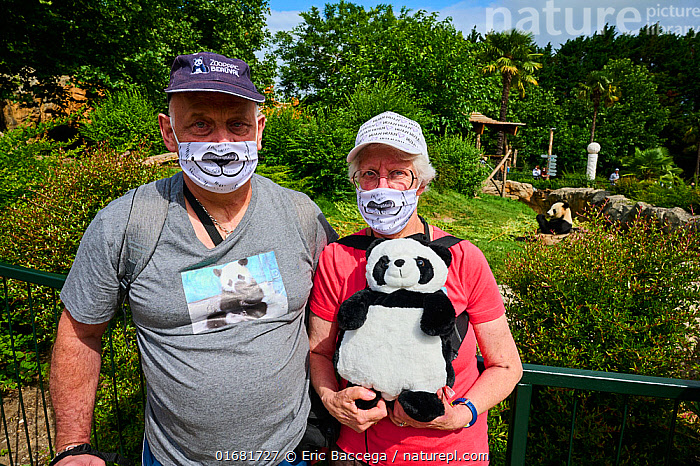 Stock photo of French tourists who love Giant pandas (Ailuropoda ...