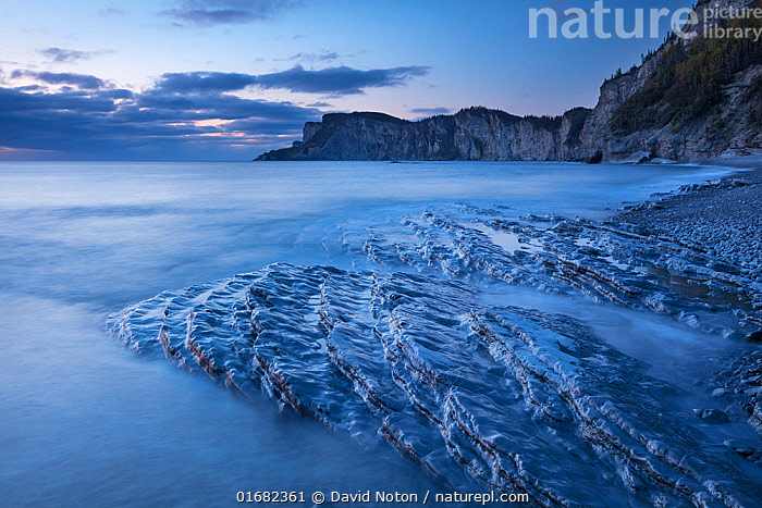 Stock photo of Cap Gaspe from Cap Bon Ami at dawn, Forillon National ...