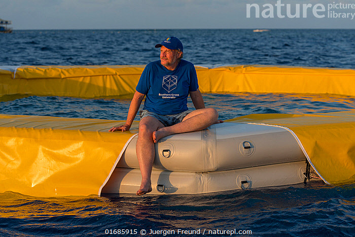 Stock photo of Professor Peter Harrison from Southern Cross University ...