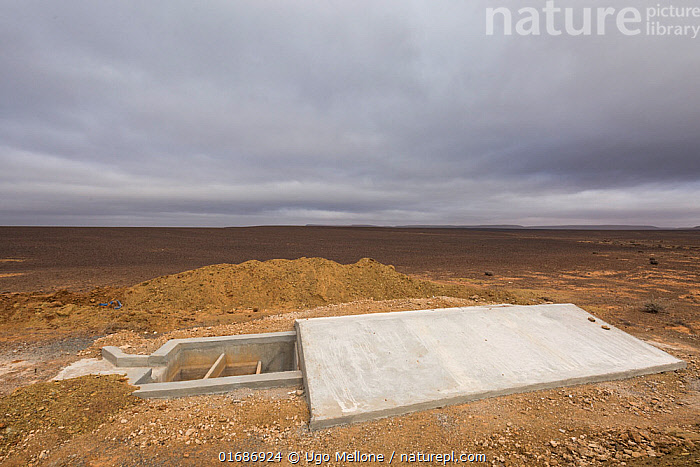 Stock photo of Water cistern in the Sahara desert, a deadly trap for ...