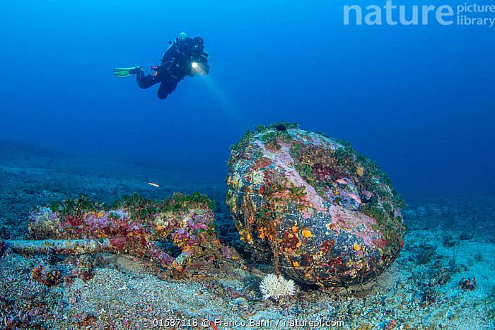 Stock photo of Rebreather scuba diver exploring the landing wheel gear ...