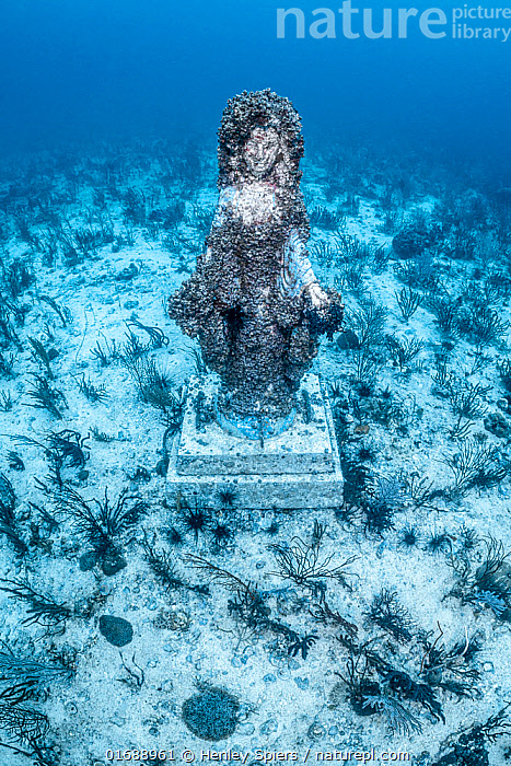 Stock photo of Statue of Virgin Mary placed on seabed at dive site to ...