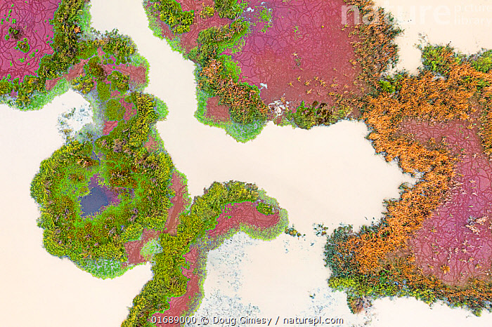 Stock photo of Aerial view of a section of Middle Reedy Lake with ...