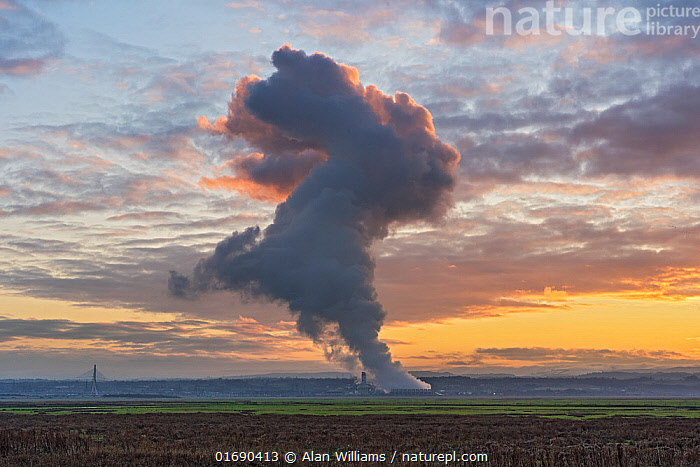 Stock photo of Huge plume of steam emitted from power station cooling ...