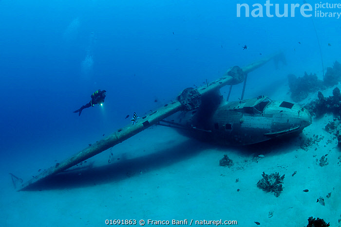 Stock photo of Scuba diver swimming over the wreck of Catalina airplane ...