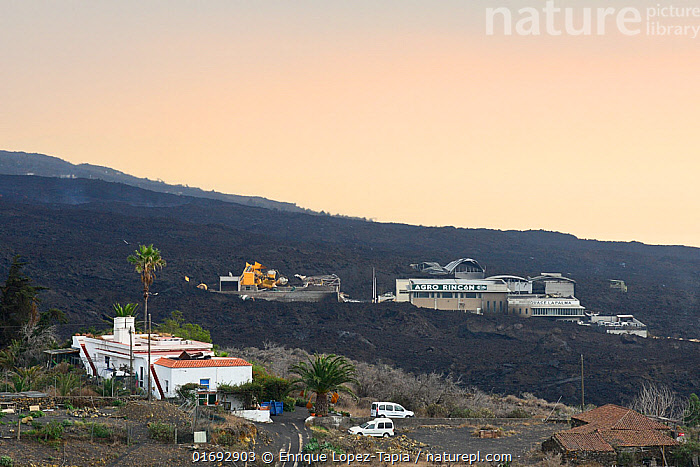 Stock photo of Buildings surrounded by lava flow from the erupting ...