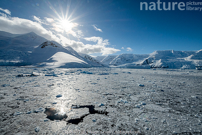 Stock photo of Slushy sea ice covering the surface in bright sunlight ...