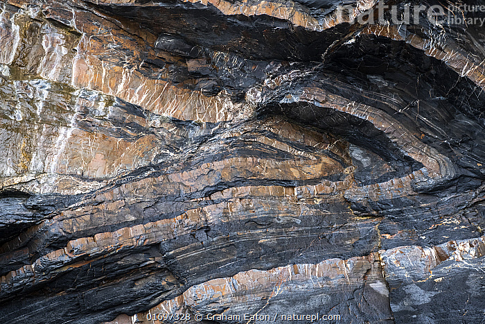 Stock photo of A recumbent chevron fold in Carboniferous, Culm Measures ...