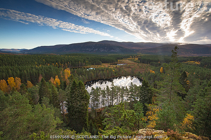Stock photo of Morning view overlooking Uath Lochans and surrounding ...