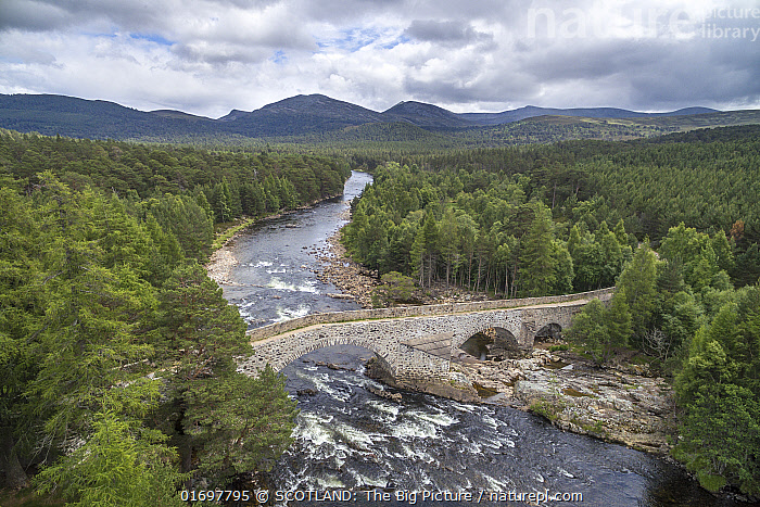 Stock photo of Aerial view of the Bridge of Dee over the River Dee ...